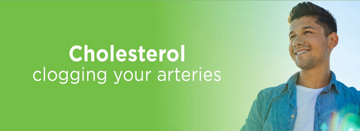 Cholesterol - clogging your arteries – Alipid