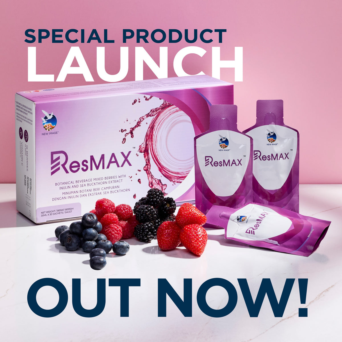 ResMAX - Antioxidant Protection – Alipid